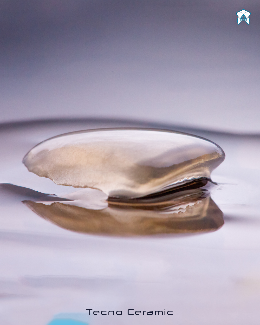 Tecno Ceramic | Laboratorio Dental